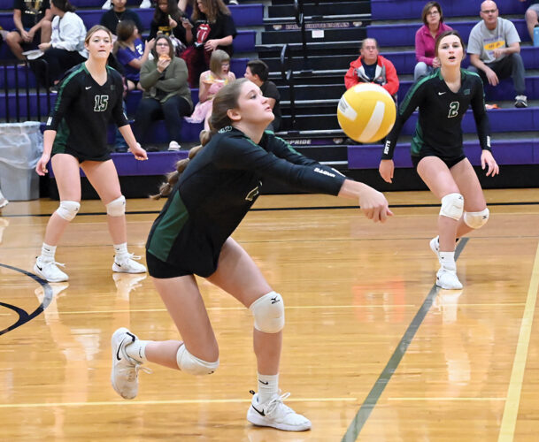 Stevens literally ‘sets’ North Union volleyball record | News, Sports ...